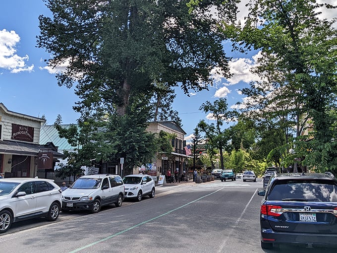 Tall trees tower over Murphys' main street, where small-town charm doesn't come with big-city price tags.