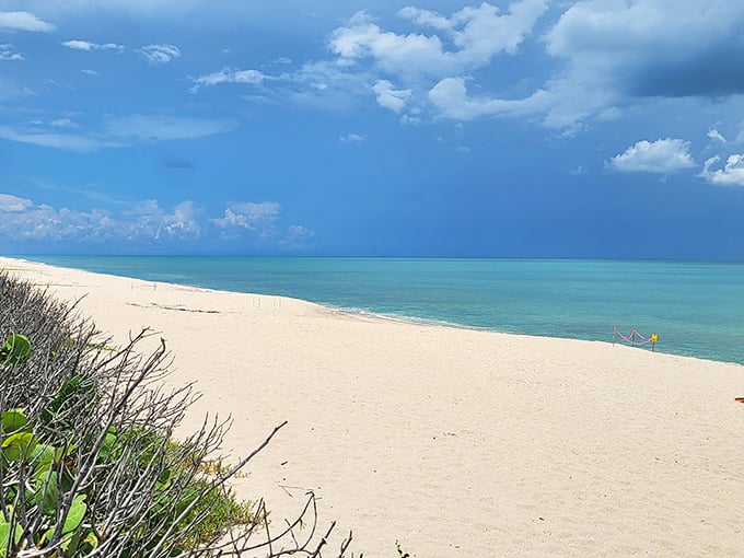 The soft golden light at Sebastian Inlet transforms ordinary sand into a pathway that seems to lead straight to contentment.