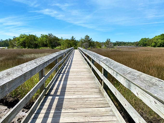 Vereen Memorial Gardens: The golden hour transforms these marshlands into a shimmering tapestry that even the best Instagram filter couldn't improve.