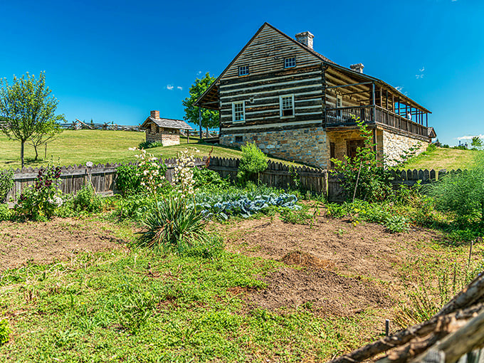 Garden-to-table wasn't trendy—it was necessary. This 1850s American farmstead shows how settlers created self-sufficient homesteads through careful planning.