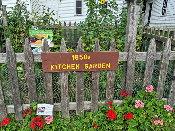 The 1850s Kitchen Garden—where heirloom vegetables have been keeping it real since before processed food was even a concept. Those geraniums add a splash of vintage charm.