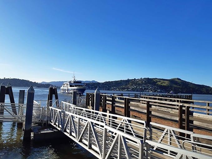 The gateway to adventure awaits at this sun-drenched pier—your departure point from everyday life into island escapism.