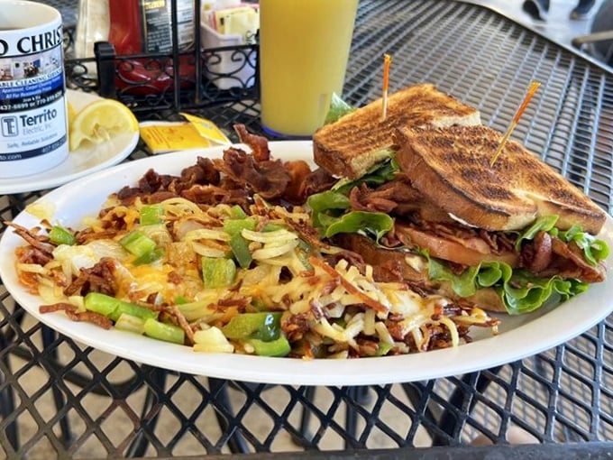 This isn't just a sandwich and hash browns—it's architecture. The perfect stack of ingredients creating a skyscraper of flavor that demands respect.