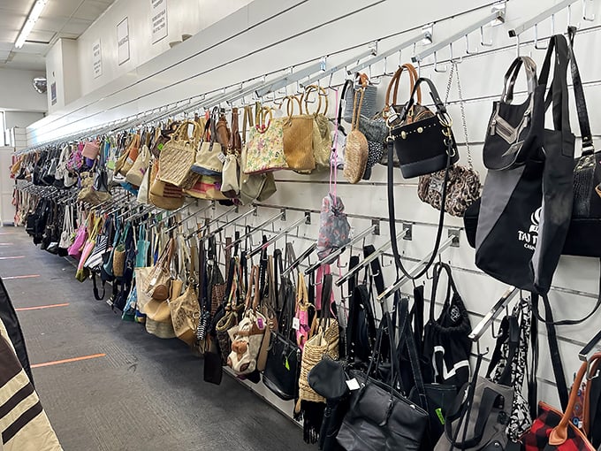 Handbag heaven—where designer dreams and practical carryalls hang side by side in democratic fashion harmony.