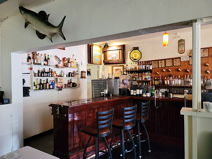The bar area—where mounted fish watch approvingly as patrons toast to the day's catch with something cold and refreshing.