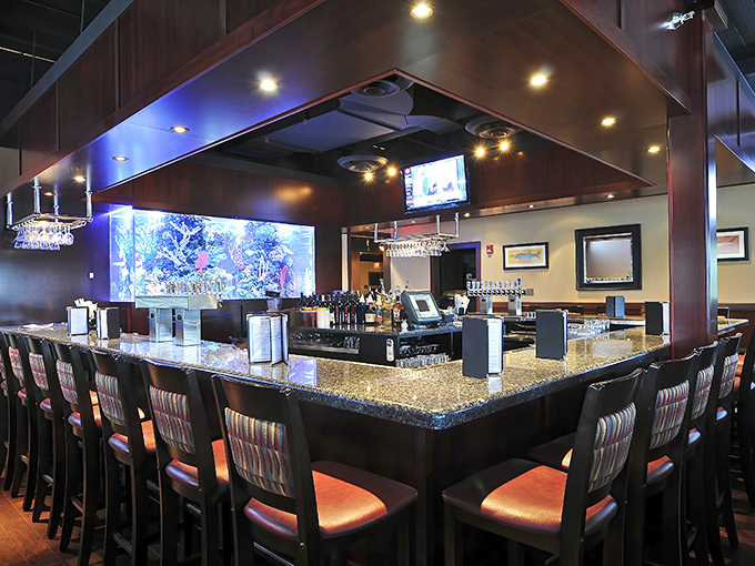 The bar area offers front-row seats to both mixology mastery and marine life—a happy hour with actual happiness included.