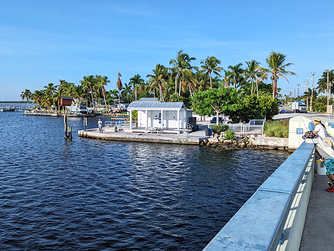 The view from Matlacha Bridge offers a perfect Florida postcard—blue water, swaying palms, and the promise of island time just ahead.