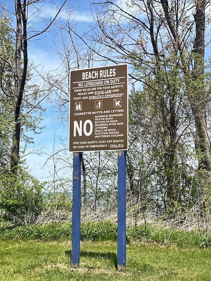 Every paradise has rules—this sign politely reminds you that freedom comes with responsibility, even at the beach.