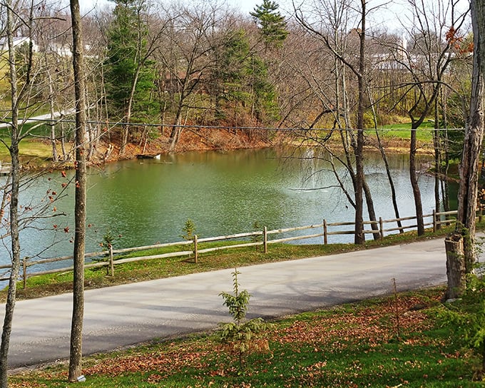 This serene pond view comes complimentary with your meal – a reminder that in Berlin, even the scenery seems designed to aid digestion.