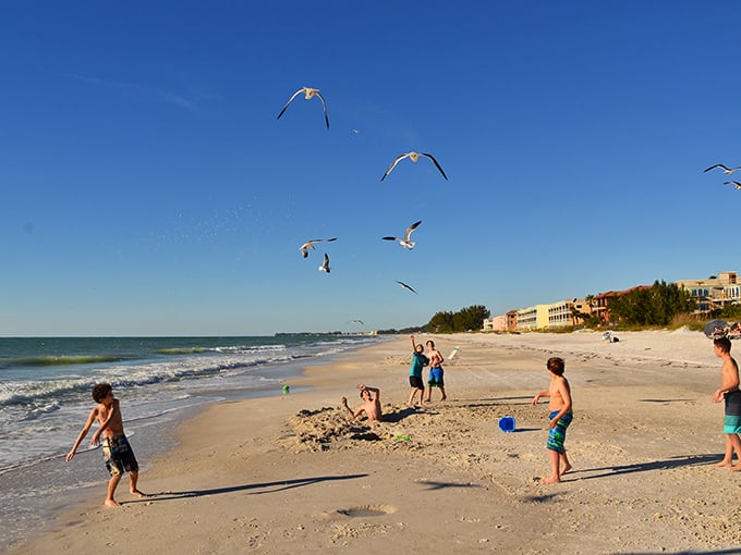 Seagulls perform their aerial ballet for beachgoers. The birds here seem to understand they're part of the entertainment package included with your visit.