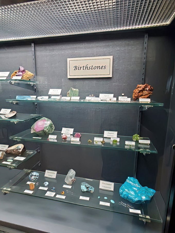 The birthstone display reveals how our personal geology connects us to Earth's treasures—each month claiming its own colorful champion.