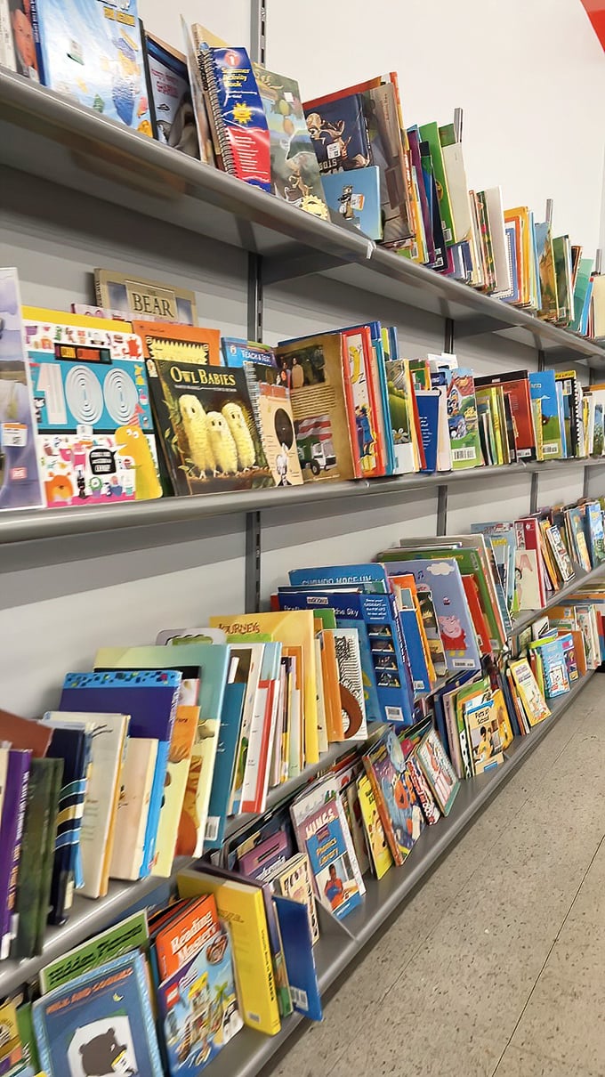 Literary treasures stack up in the book section—dog-eared paperbacks and hardcover gems waiting to tell their stories to new readers.