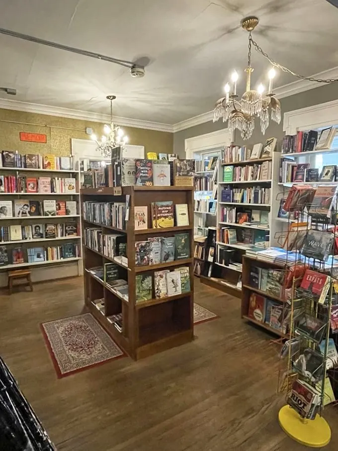 Not just bookshelves, but portals to other worlds—where chandeliers cast a golden glow on carefully curated literary treasures waiting to be discovered.