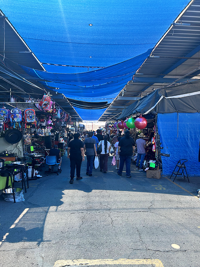 The blue canopy creates a river of shade as shoppers navigate the bustling marketplace. Weekend treasure hunting at its finest!