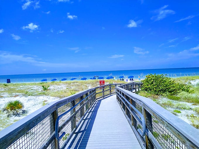 Caladesi Island's boardwalk leads to beaches so pristine they make your Instagram followers suspect you've discovered a secret Caribbean island.