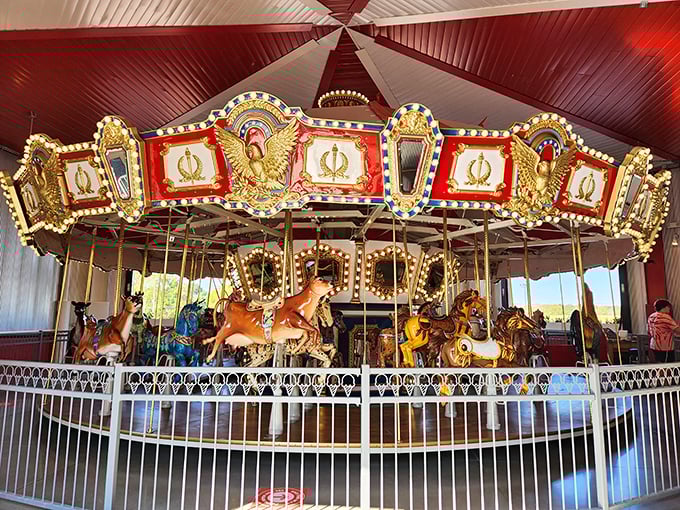Even the carousel horses look like they're smiling, knowing they're part of a place where childhood joy is available at any age.