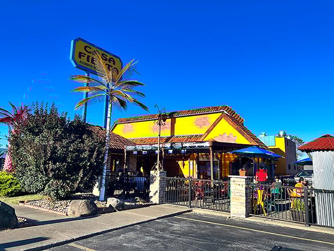Casa Fiesta brings tropical vibes to northern Ohio. That palm tree sign is the Midwest's way of saying, "We understand vacation mindset."