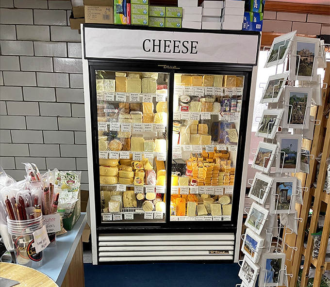 The cheese refrigerator—a glorious wall of dairy possibilities. Yellow, white, orange treasures waiting to change your sandwich game forever.