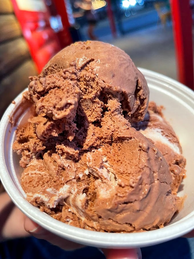 Chocolate ice cream so rich it should come with its own tax bracket. The kind that makes you close your eyes with each spoonful.