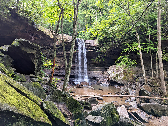 Cucumber Falls doesn't just fall—it performs. This natural spotlight in the forest creates a moment of zen that no meditation app could ever replicate.