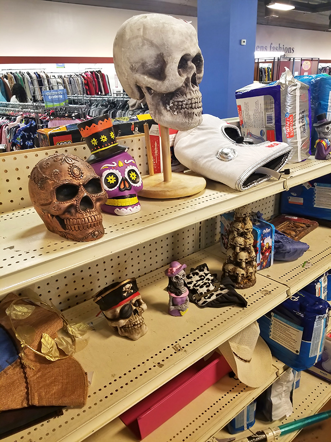 Not just Halloween decor—these skulls represent the death of retail markups and the resurrection of decorating budgets everywhere.