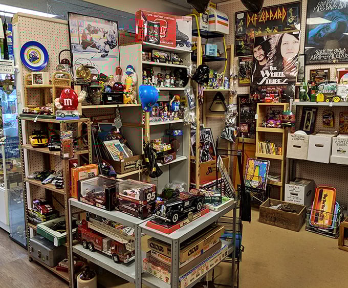 Model cars, vintage toys, and rock memorabilia create a shrine to bygone boyhoods. Every shelf holds something that would make a grown man say, "I had that!"