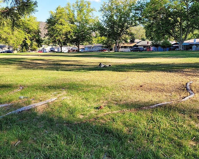 Open green spaces provide room to breathe amid Yreka's small-town charm. Sometimes doing absolutely nothing is the perfect activity.