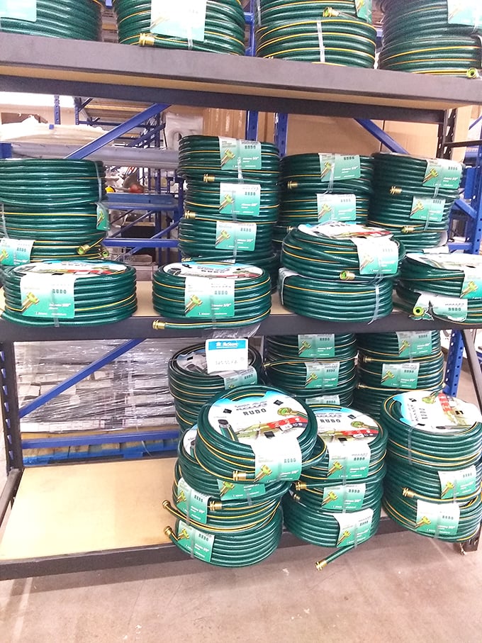 Garden hose heaven! These coiled green lifelines stand ready to rescue Arizona yards from the relentless desert sun.