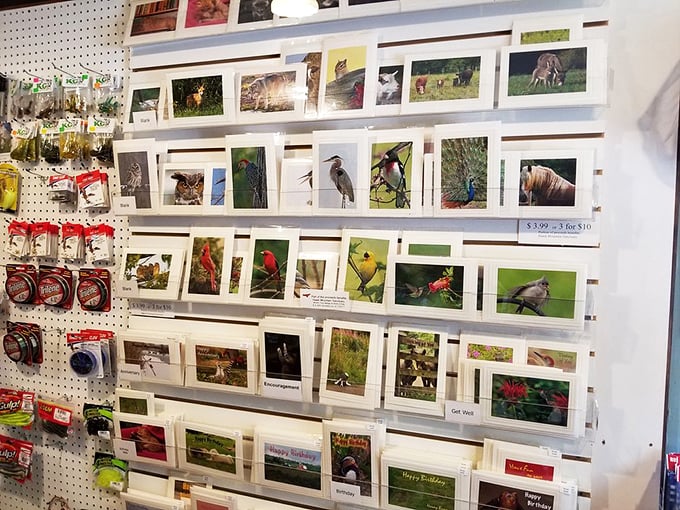 These aren't just greeting cards—they're snapshots of local wildlife, captured by photographers who understand that Pennsylvania's beauty deserves to be shared.
