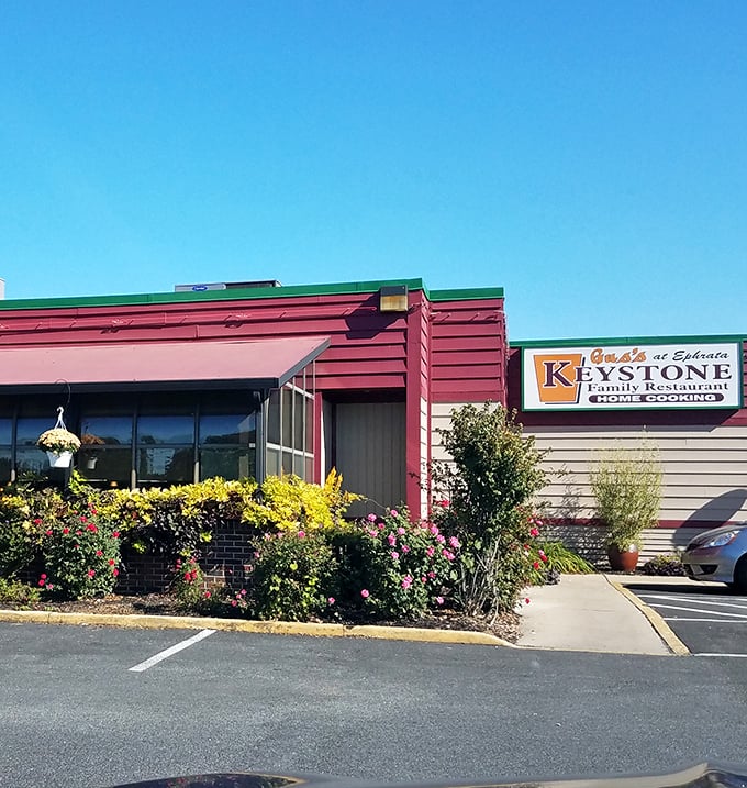 Gus's Keystone delivers comfort food with the kind of generous portions that make your grandmother proud.