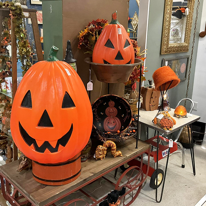 Halloween decorations with retro appeal – these pumpkins probably lit up porches when "Monster Mash" was still climbing the charts.