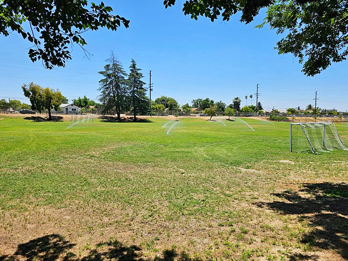 Soccer goals and sprinklers—Harvard Park offers simple pleasures and green space for kids to burn energy without burning wallets.