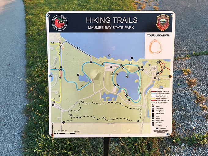 The trail map—where "You Are Here" is less a location and more an invitation to get wonderfully lost in Ohio's version of wilderness. 