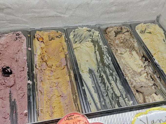 Five gleaming trays of possibility—like choosing between different versions of happiness. The correct answer? All of them.