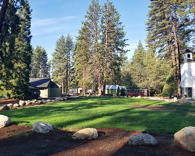 A grassy clearing surrounded by pines and historic buildings – where "campus" means something entirely more peaceful than your memories of college.