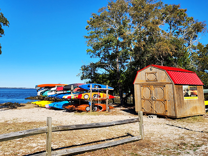 A rainbow of kayaks waiting for their next adventure – like a Crayola box that floats and occasionally makes you wet.