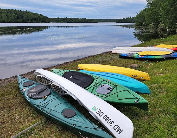 Kayak rainbow awaiting paddlers of all skill levels. These colorful vessels promise water-level perspectives of Pennsylvania's pristine wilderness.