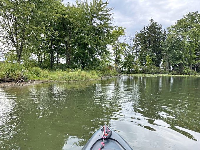 Kayaking at Pymatuning—where every paddle stroke takes you further from spreadsheets and closer to the person you were meant to be.