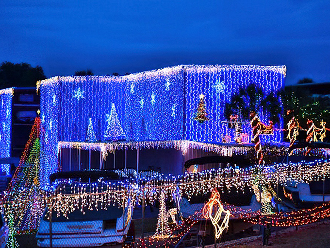 During Light Up Mount Dora, the town doesn't just twinkle—it practically challenges the night sky to a brightness competition. And wins.