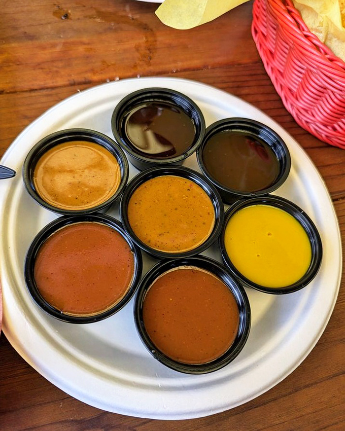 The sauce rainbow—where each color represents a different path to flavor nirvana. Choose your adventure wisely.