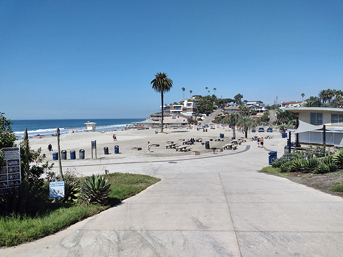 Moonlight State Beach offers the quintessential California experience—where volleyball players, sunbathers, and seagulls negotiate their territorial rights daily.