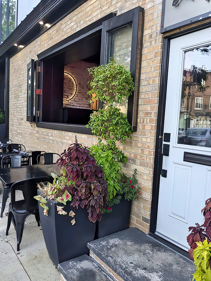 Al fresco seating where Philadelphia breezes complement your meal. Those plants aren't just decorative—they're witnesses to gastronomic happiness.