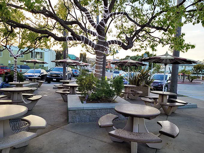 Outdoor tables nestled around a tree strung with lights—where seafood dreams come true under the California sun or stars.