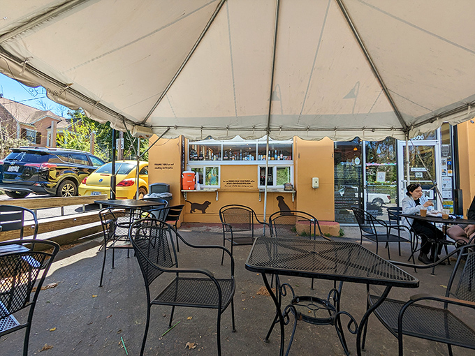 The covered patio—where vitamin D and caffeine join forces to create the perfect afternoon escape from reality.