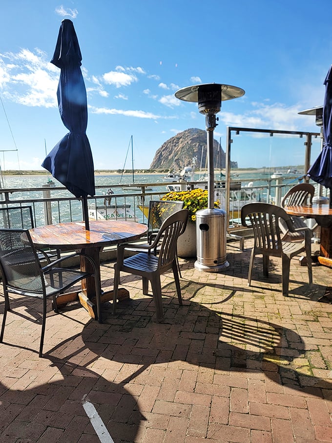 The outdoor patio offers Morro Rock views so spectacular you might forget to eat—but only momentarily, because that ribeye is calling.