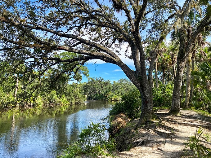 The Oxbow Eco-Center's tranquil waterways reveal Florida's natural beauty, a reminder that the best attractions often come with the smallest price tags.