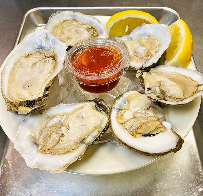 Fresh oysters on the half shell—nature's perfect appetizer. These briny beauties need nothing more than a squeeze of lemon and a moment of appreciation.