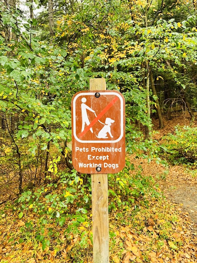 Even in nature's playground, rules apply – this sign gently reminds visitors that Fido might have to sit this adventure out.