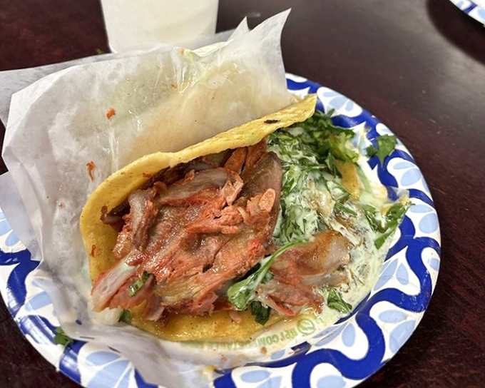 Crispy-edged pork nestled in warm tortilla with fresh garnishes – simplicity elevated to art form.