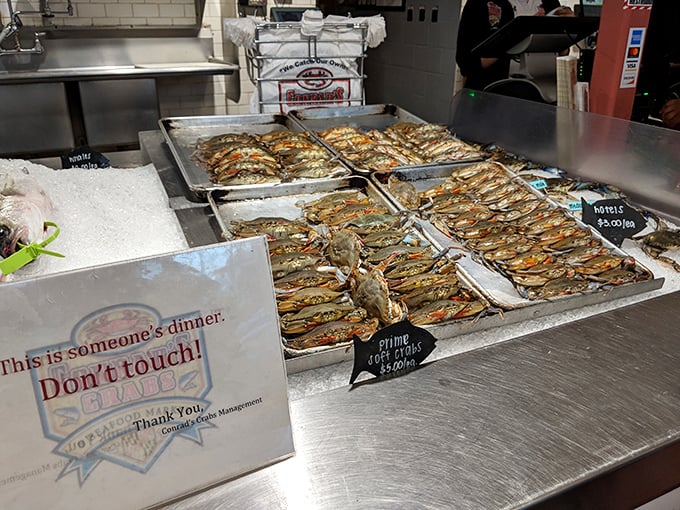 "This is someone's dinner. Don't touch!" The sign is unnecessary – these gorgeous soft shells speak for themselves as the ultimate Maryland delicacy.